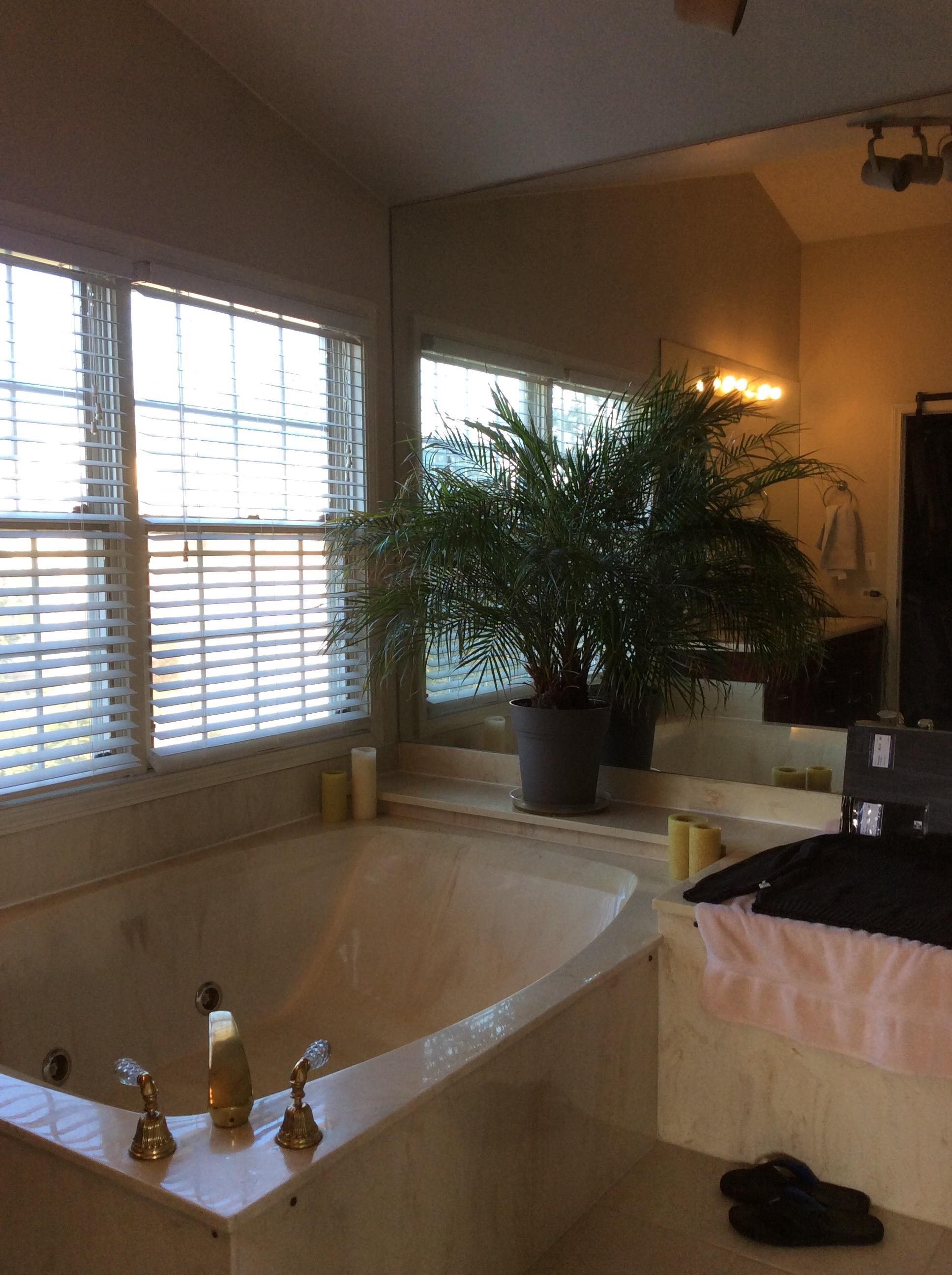 Mid Century Modern Bath | ProSource Wholesale